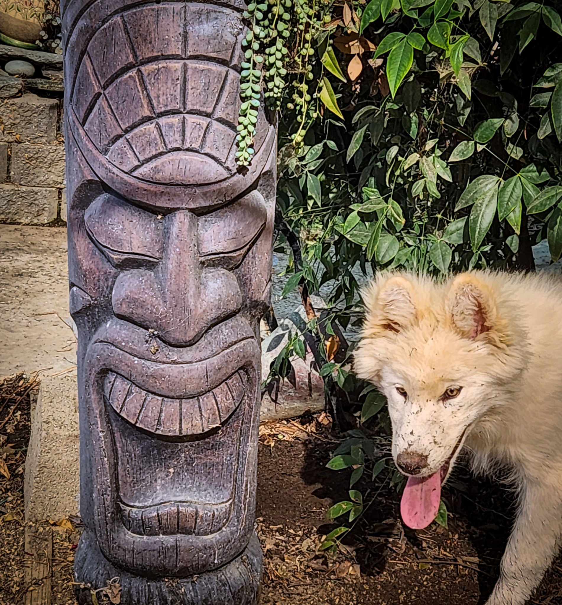 Current and past residents | Night Eyes NAIDs- Native American Indian ...